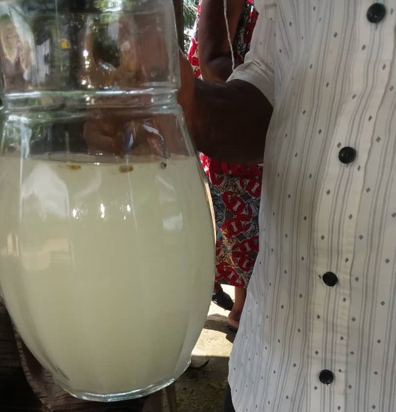 [Matango] le vin de palme une boisson à la vertu et saveur unique. - Le ...